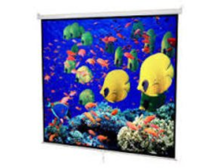 Aurora Projector Screen Tripod E 6x6 Price in Pakistan - Mega.Pk